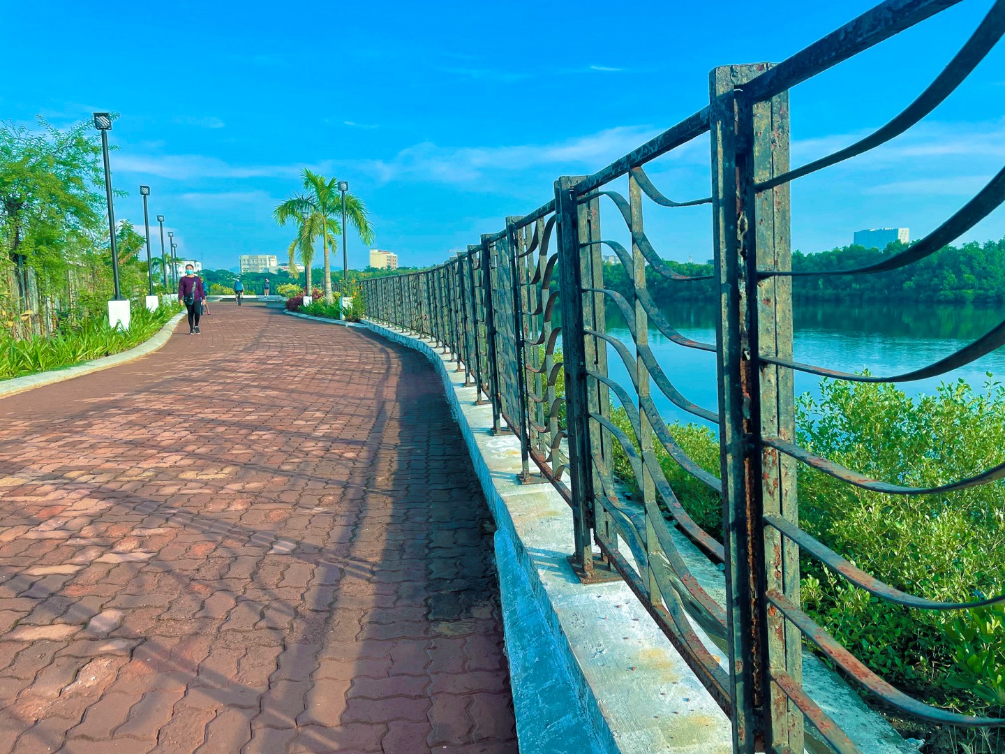 Infrastructure is the key: Lessons from Iloilo City’s Bike Lanes ...
