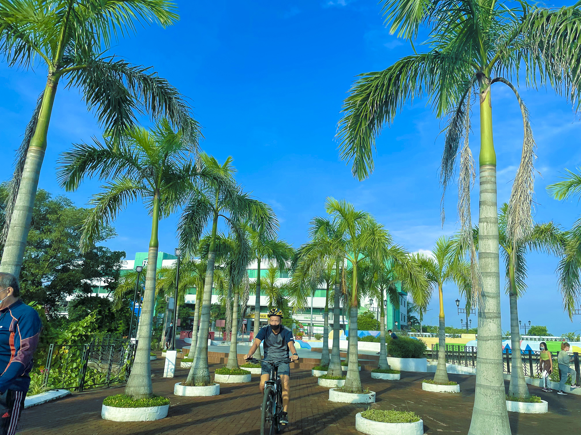 Infrastructure is the key: Lessons from Iloilo City’s Bike Lanes ...
