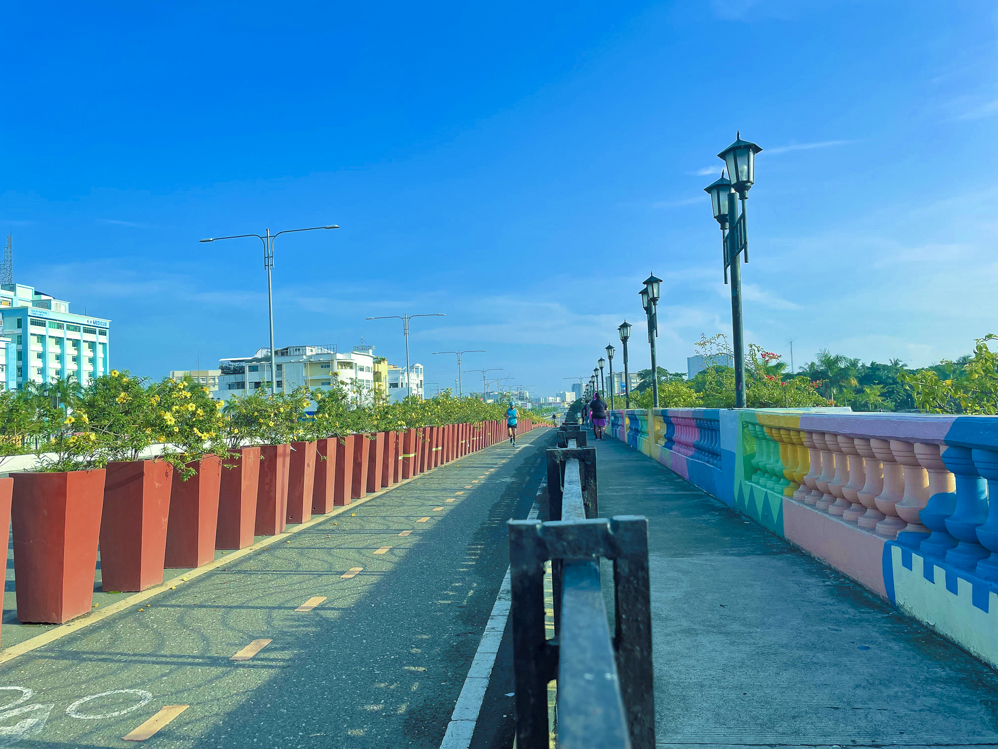 Infrastructure is the key: Lessons from Iloilo City’s Bike Lanes ...